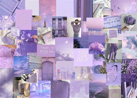 200 Pastel Purple Backgrounds