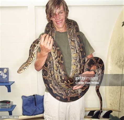 Burmese Python Snake Photos And Premium High Res Pictures Getty Images