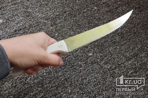 Мешканець Кривого Рогу отримав умовний вирок за різанину Перший Криворізький