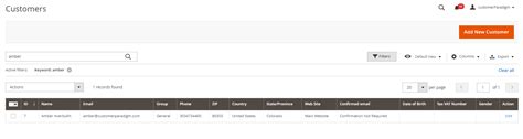 A Guide To Importing And Exporting In M2 Customer Paradigm