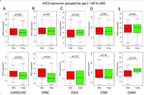 The Expression Of Ace2 In Different Organs Grouped By Age A E The