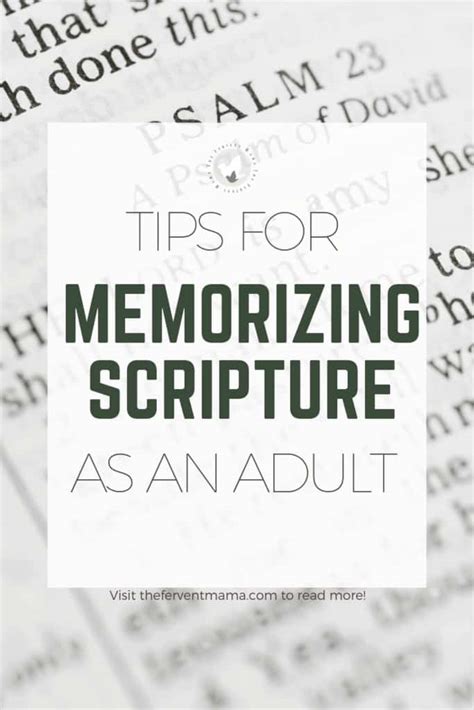 Tips For Memorizing Scripture For Adults The Fervent Mama