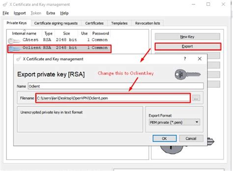 OpenVPN Set Up On Vigor Router DrayOS XCA DrayTek FAQ
