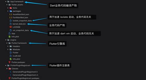 有赞 flutter 混编方案