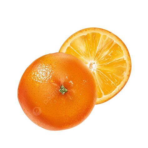 Complete Orange With Circular Segment On A Blank Background Vector