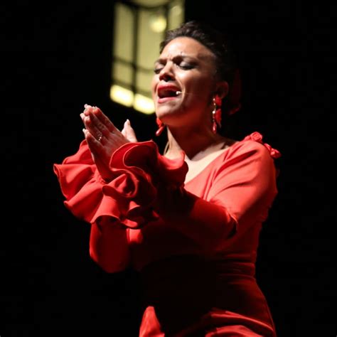 El Arte Del Jaleo Flamenco Gran Gala Flamenco