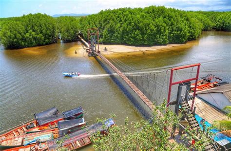 ពាមក្រសោប ជាទីតាំងទស្សនាព្រៃកោងកាងដ៏ធំក្នុងខេត្តកោះកុង ក្រសួងព័ត៌មាន