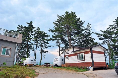 더스타오토캠핑장