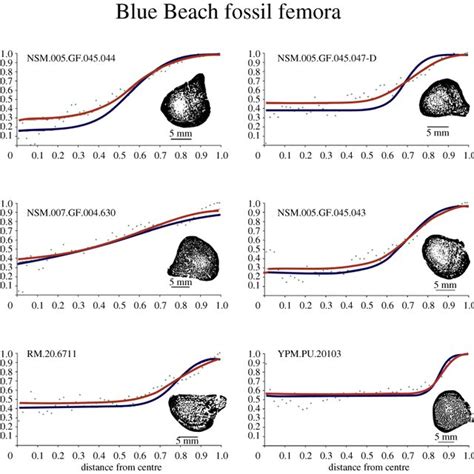 Compactness Graphs With The Corresponding Binarized Midshaft All Of Download Scientific