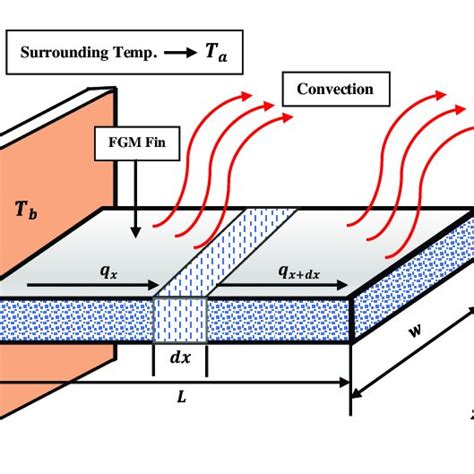A Diagrammatic Representation Of The Porous Longitudinal Fin Model Download Scientific Diagram