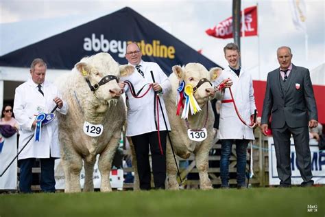 British Simmental Cattle Society Harbro Featured Today Is The Next In Our Series Of Profiled