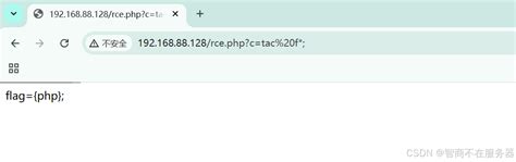 php 代码执行漏洞：详细解析与绕过方法 php代码执行漏洞 csdn博客