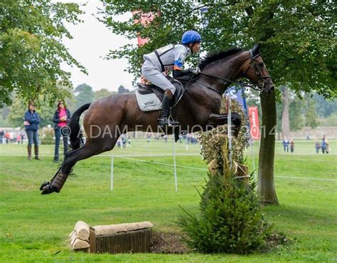 Pin Di Sweet Killer Su Just Dreams