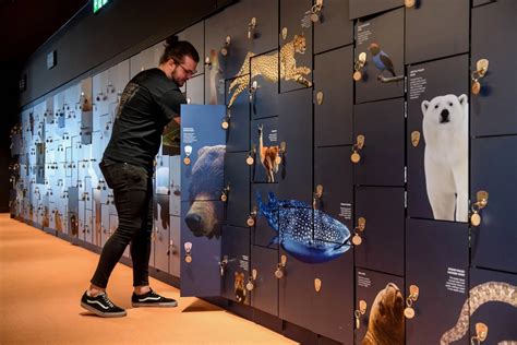 Bbc Earth Experience Tinker Imagineers No Experience Jobs Bbc Experience Design