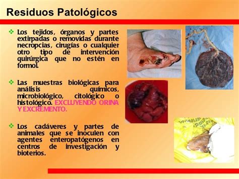 Manejo De Residuos Peligrosos