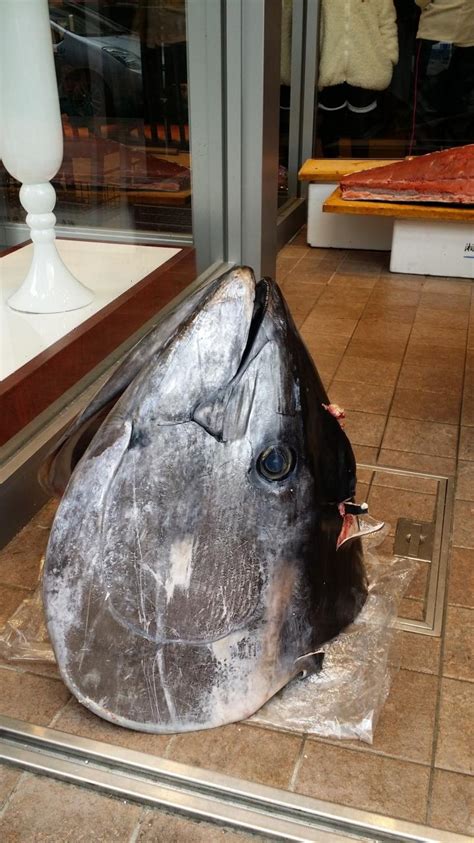 『金沢旅行2泊3日女子二人旅①金沢周辺編』金沢石川県の旅行記・ブログ By すかりんさん【フォートラベル】