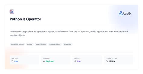 Exploring The Is Operator In Python Labex
