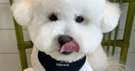 곰곰 고수의 프로그래밍코딩 레슨 서비스 서울특별시 송파구 숨고 숨은고수