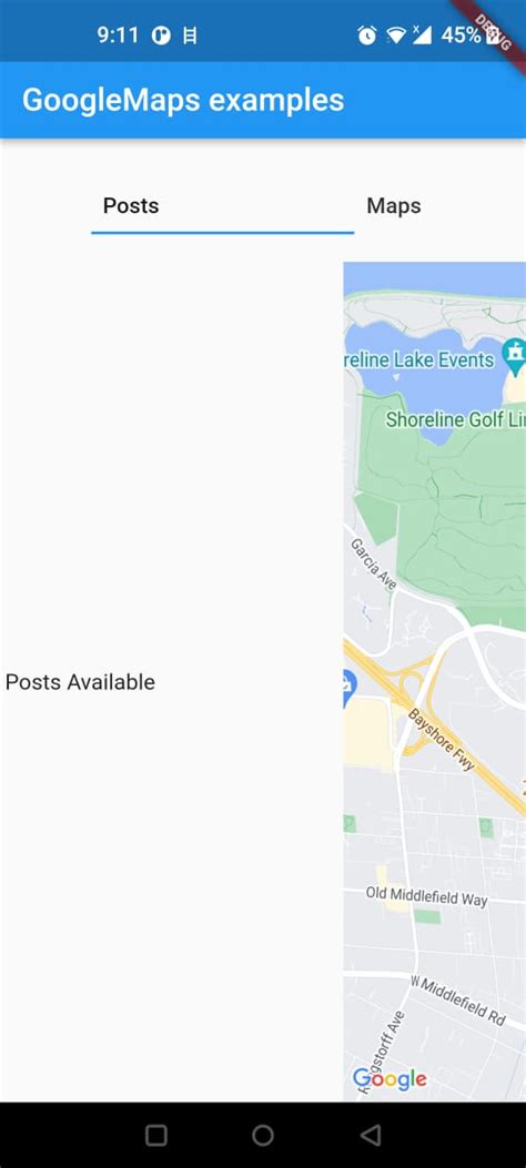 Unexpected Crash In Google Maps Flutter Package Flutter Stack Overflow