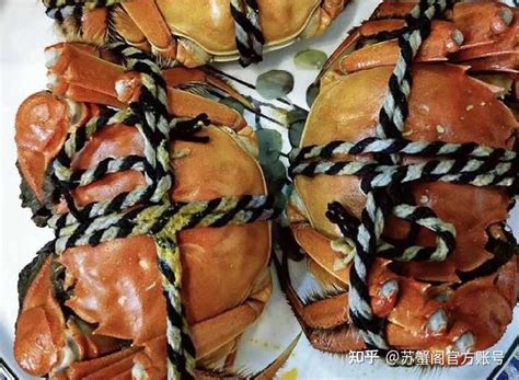 整理了几千条数据以后，发现很多人吃大闸蟹还在犯3个错！ 知乎