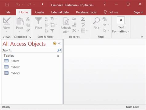 Functionx Tutorials Lesson 01 Introduction To Microsoft Access