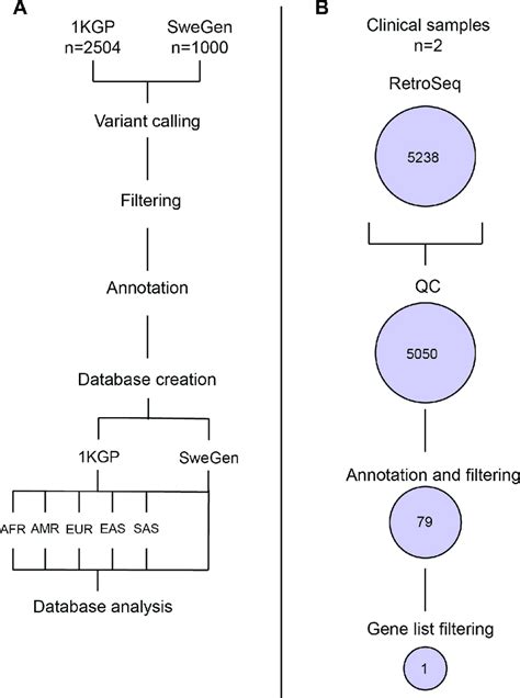 Workflow Overview For Database Generation And Clinical Analysis A Download Scientific