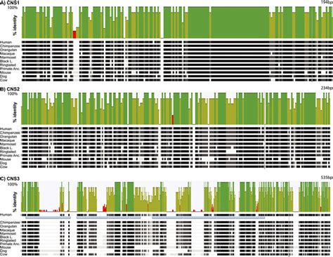multispecies alignments of conserved noncoding regions schematics of