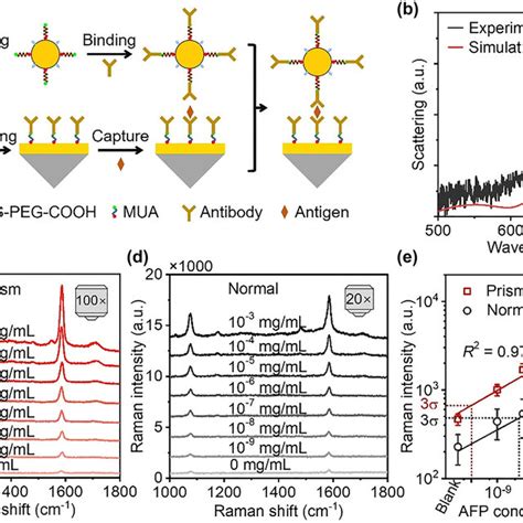 Sers Based Immunoassay For Sensitive Detection Of Afp A Schematic Of