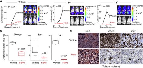Integrative Analysis Reveals An Outcome Associated And Targetable Pattern Of P53 And Cell Cycle