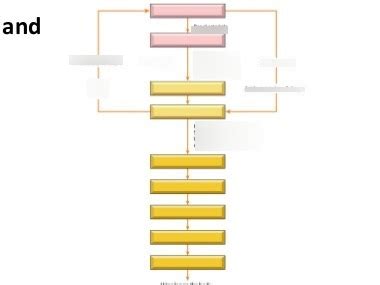 Chapter Diagram Quizlet