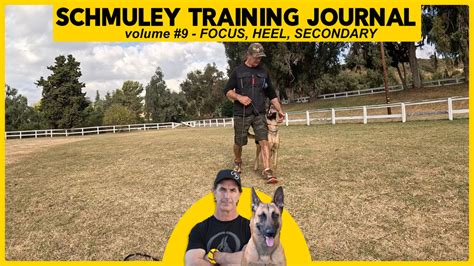 Schmoo Journal 9 Introducing Distractions Robert Cabral