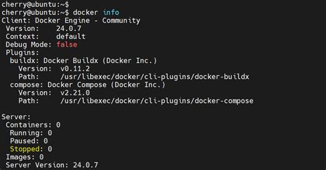 How To Install Docker On Ubuntu Cherry Servers