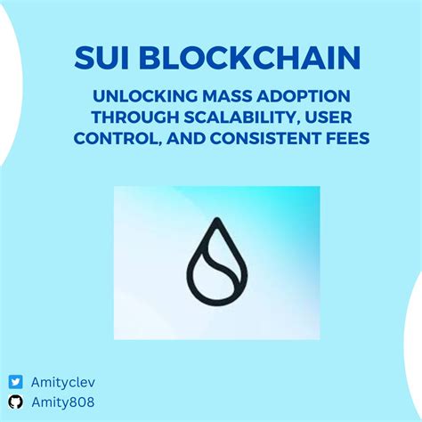 sui blockchain a layer 1 blockchain that handles transactions at