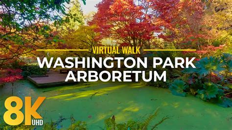 Washington Park Arboretum 8k Virtual Hike Proartinc