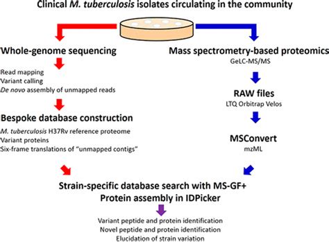 结核分枝杆菌 临床分离株菌株变异的蛋白质组学研究 Journal of Proteome Research X MOL