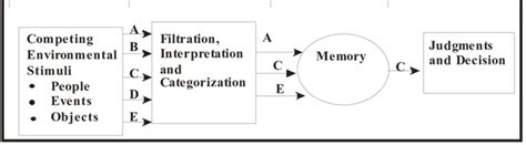 5 Stages Of Perception In Consumer Behavior