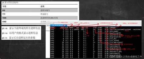 Linux 进程管理 Csdn博客 Linux 进程管理 Csdn博客