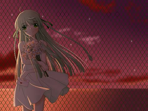 原创插画练习——《小雏菊》相川真夏 站酷zcool