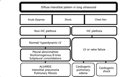 Algorithm For Diffuse Interstitial Pattern In Lung Ultrasound Ivc