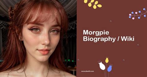 Uncover The Hidden Gem Morgpies Exceptional Investment Platform