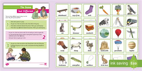 The Same But Different Activity Cards Teacher Made