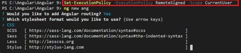 Resolved Program Ng Failed To Run No Application Is Associated TheCodeBuzz