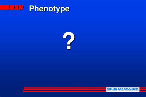 Ppt Snps Future Application Powerpoint Presentation Free Download