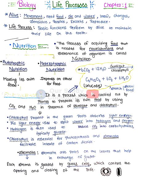 SOLUTION Class Biology Life Processes Notes Studypool