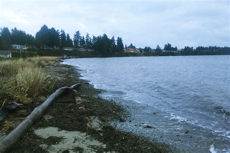 Coastal Flood Risk Assessment Guidelines For Building And