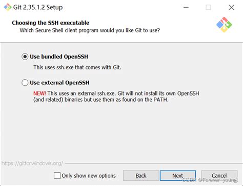 Git的下载与安装，使用idea连接gitee仓库以及断开与gitee仓库的连接【超详细】idea下载git Csdn博客