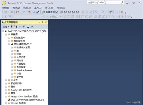 Sql Server2022的详细安装流程以及简单使用标题 Microsoft Sql Server 2022 安装