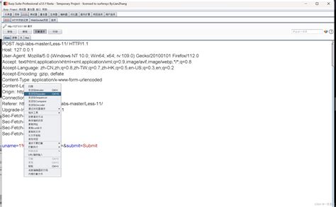 sqli labs第十一关 sqli labs第11关为什么1 1和1 2页面都没有回显 csdn博客