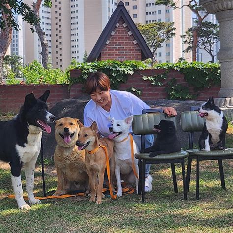 박세리 6마리 반려견들과 가족사진 찰칵든든한 울 베이비들~