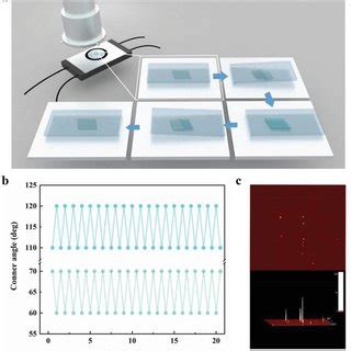 Molecular Packing In Form I And Form II Download Scientific Diagram